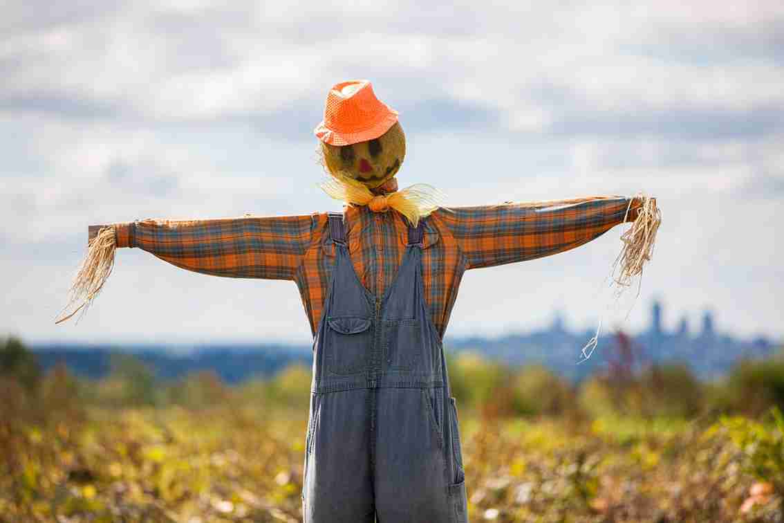 27 DIY Scarecrow for Garden Ideas - HandyCraftsHub