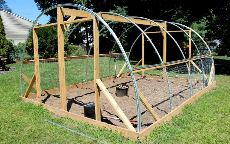 21 DIY Greenhouse Ideas: Cheap & Easy for Every Gardener - HandyCraftsHub