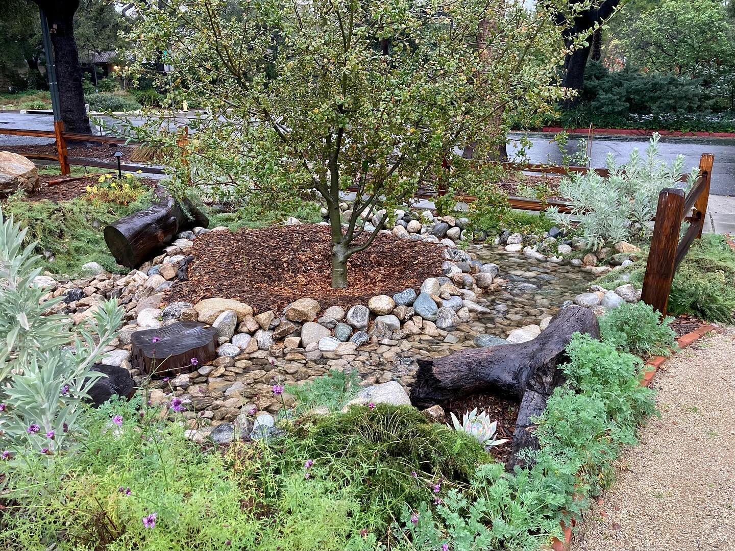 17 Swale Landscaping Ideas to Transform Your Outdoor Space - HandyCraftsHub